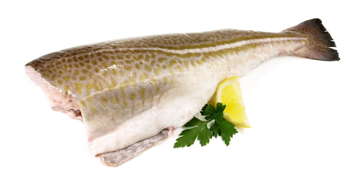 Fresh Cod, H+G